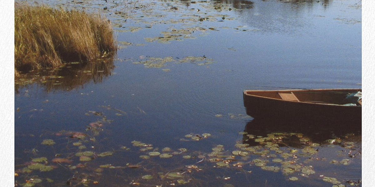 Review: Robert Cottrell on John McPhee - by Ann Kjellberg