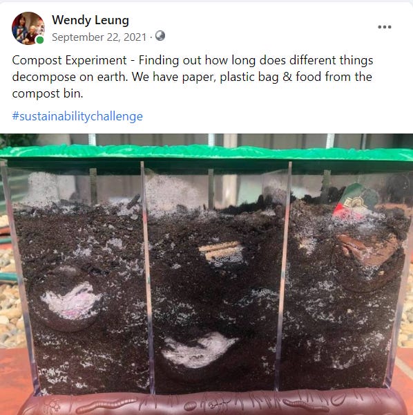 Composting Experiment - by Wendy Leung - The GreenZone Cafe