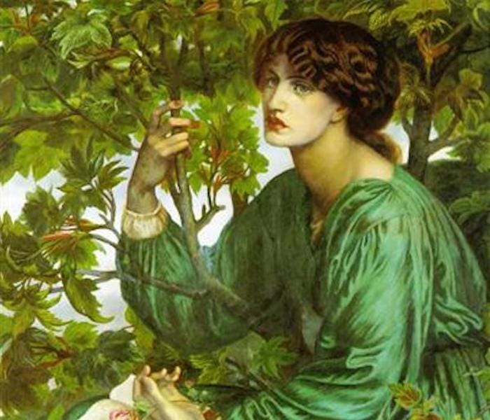 Welcome to the Ask Polly newsletter!