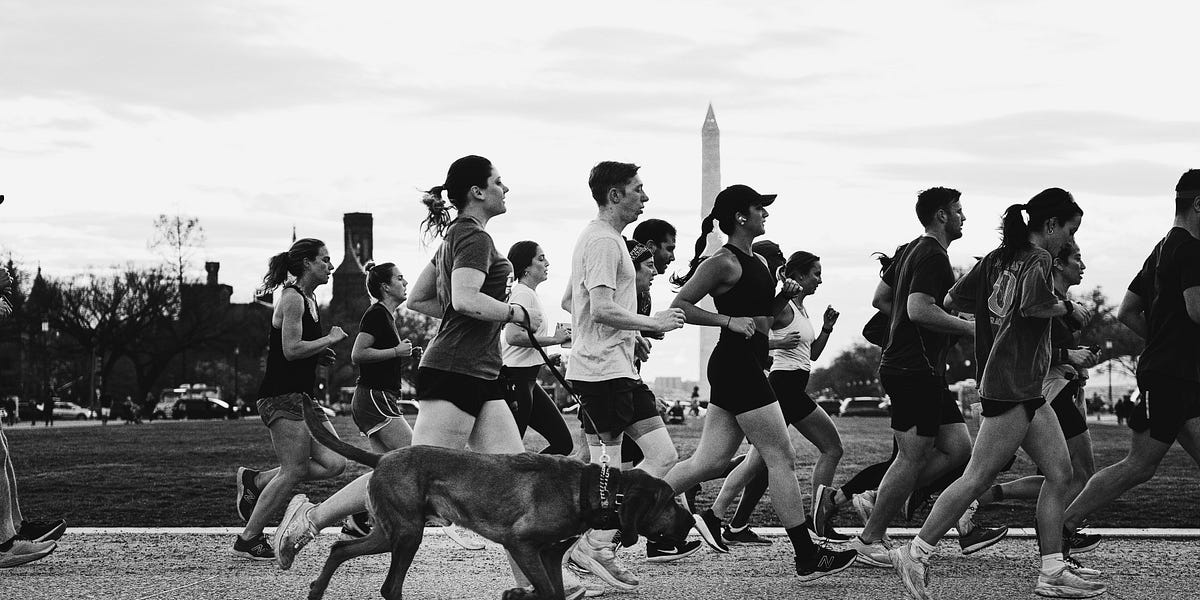 Getting to the Desert - by Hannah Yoest - Feral Angel