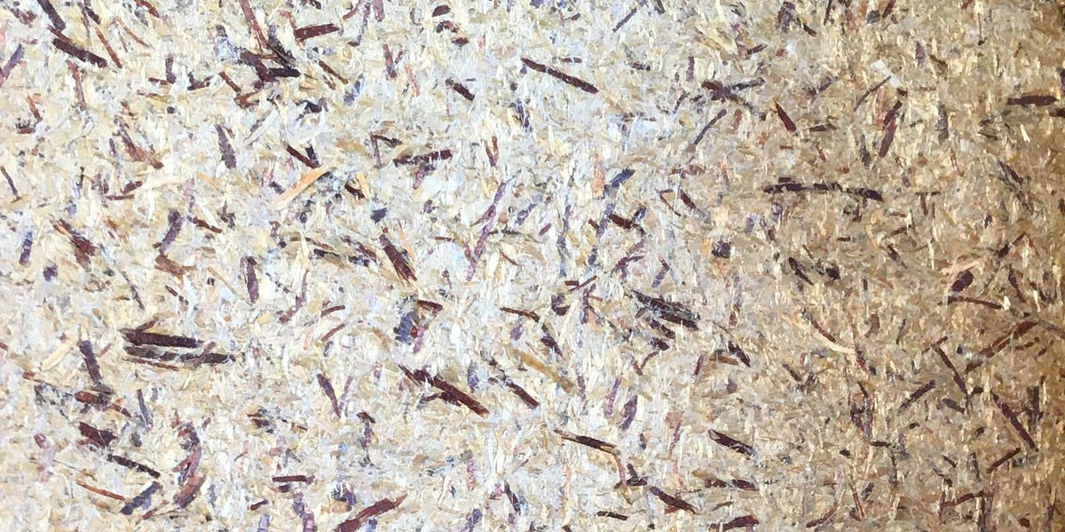 Paper, wasps, dandelion roots - by Adam Smyth - TEXT!