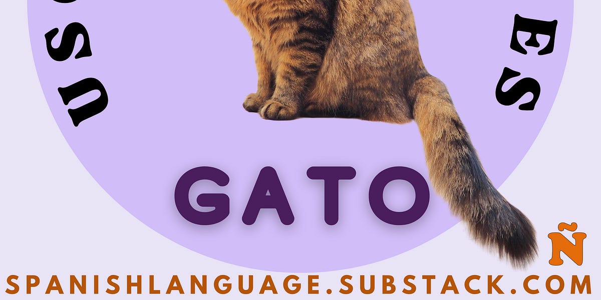 Uses and Expressions of the word "GATO" in Spanish. (#003)