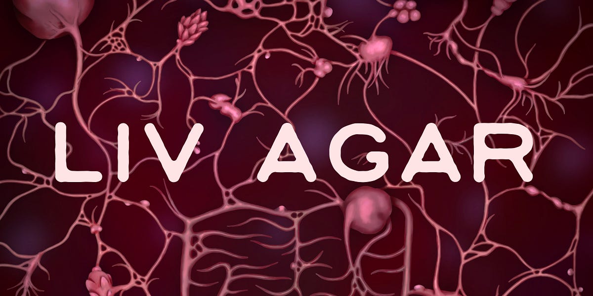 Explaining Foucault's Concept of Biopower in a Pandemic