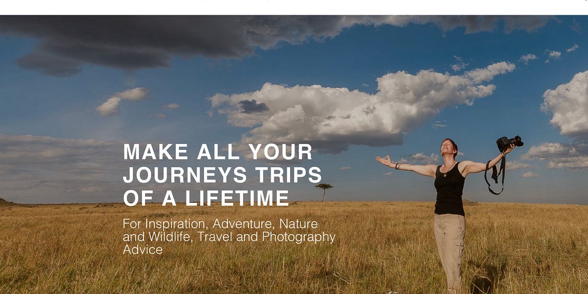 The Life and Times of Susan Portnoy: How a Media Executive Ended Up ...