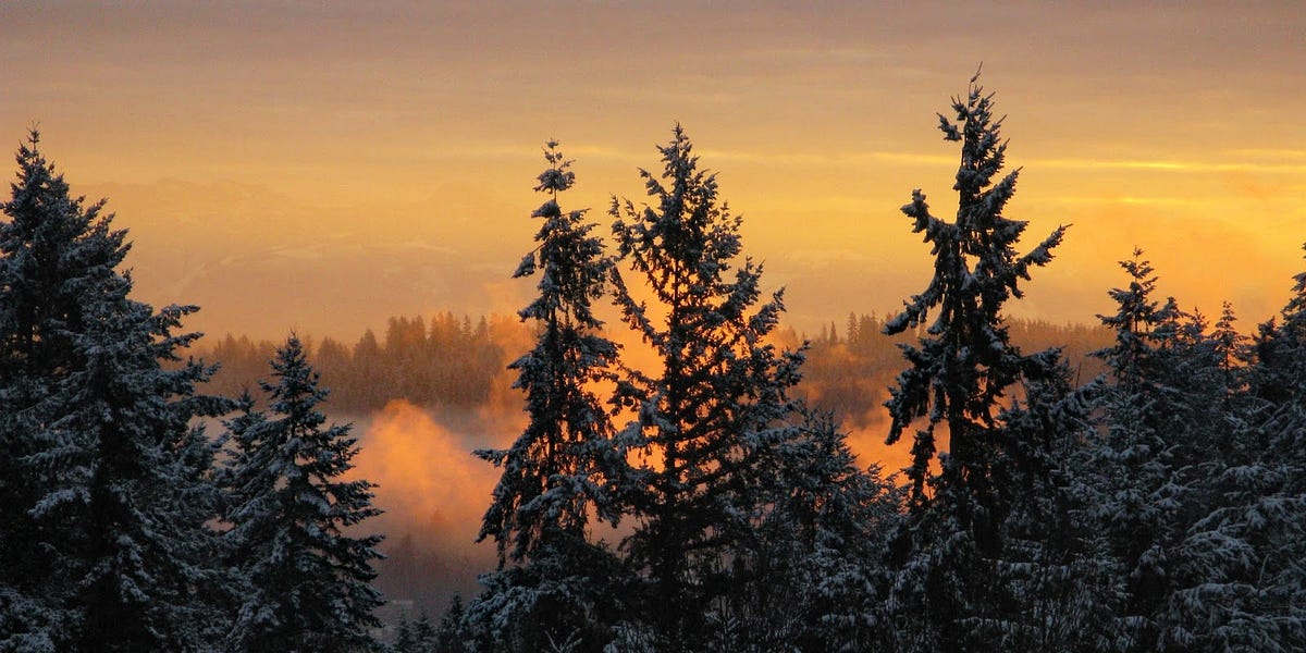 Christmas Mourning - by Edward Paz - Edward's Reflections