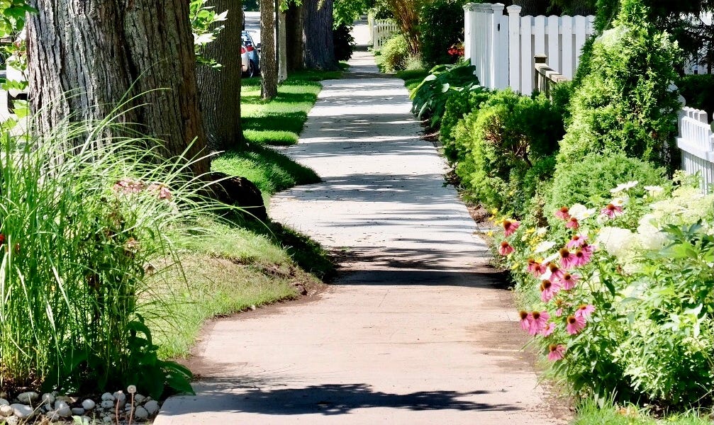 The Value of Walking - by Kim Manley Ort - Seeing Clearly