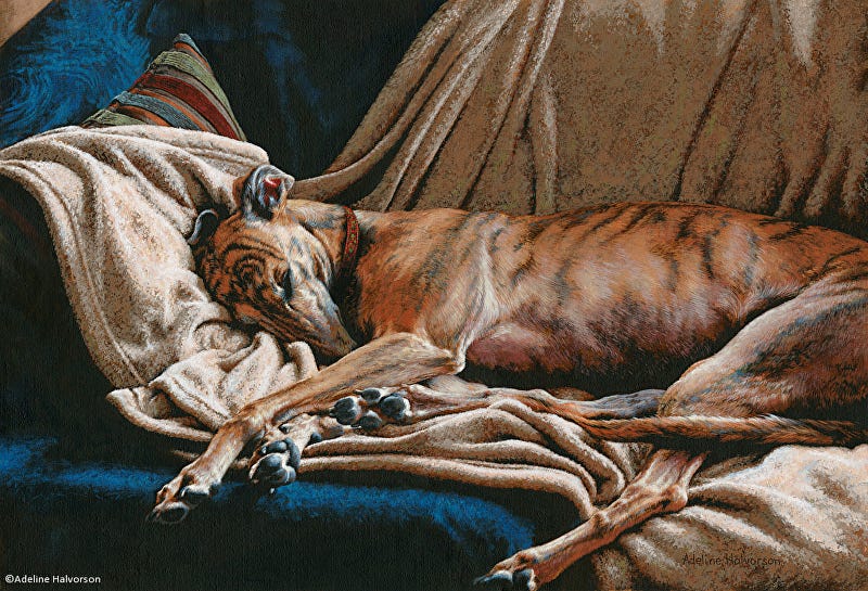 Adeline Halvorson - by Clintavo - BoldBrush Collector