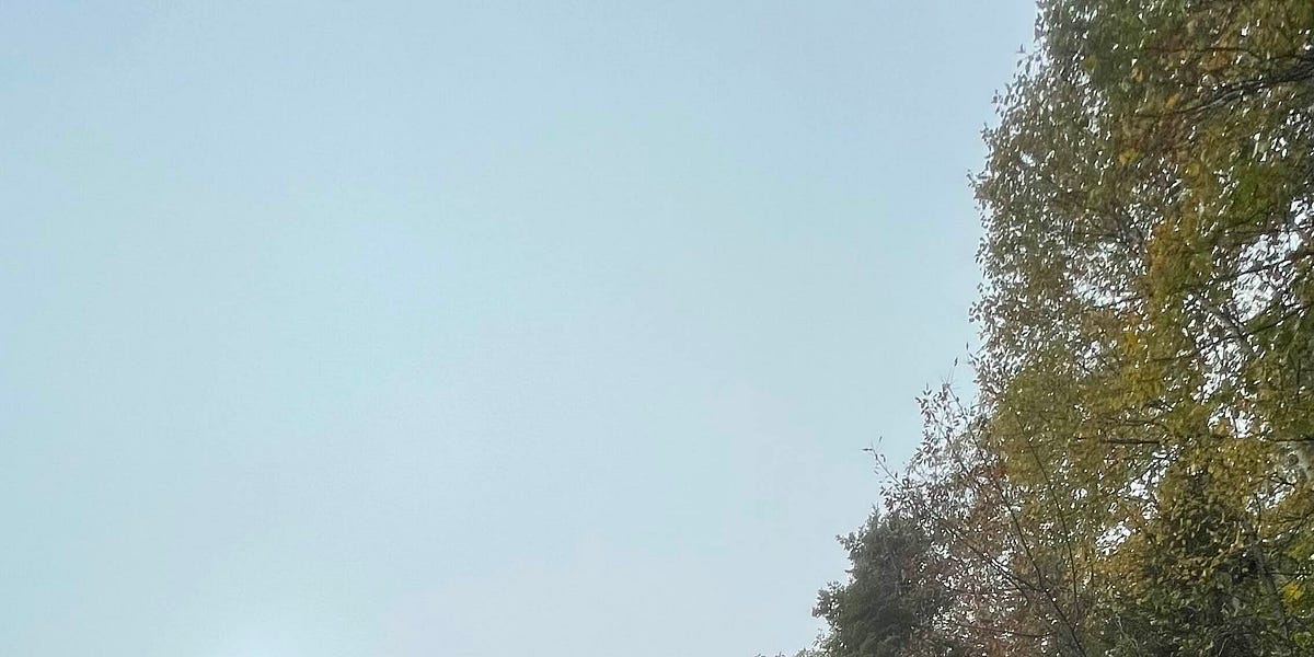 If a Tree Falls in the Woods (SPOILERS) - by Seth G. Macy