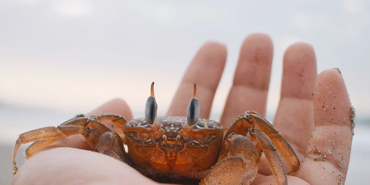 Pluto Generations Part 1: Pluto in Cancer - by Sophie