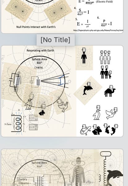 The Illustrated Multiverse