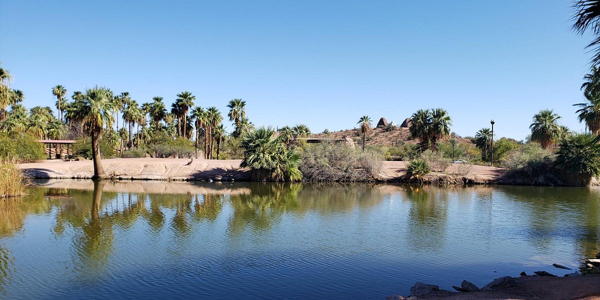 In Defense of Reality - by Billy Robb - Cholla Express