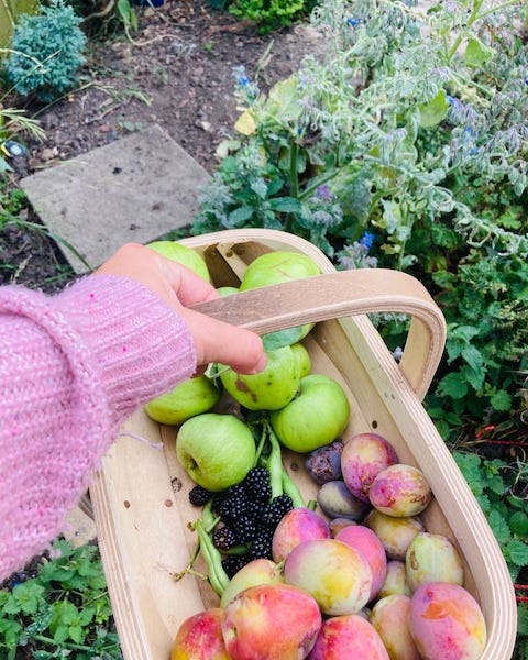 Project Bloom - by Claire Venus