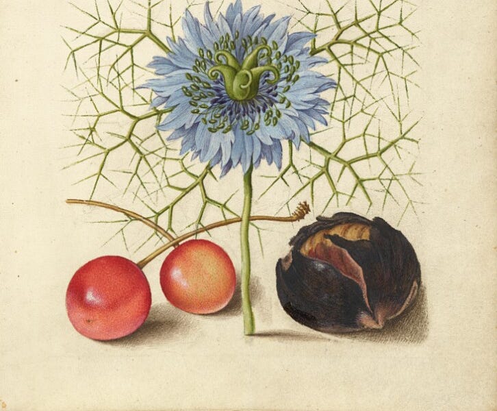 What is a Fifty200 story? - by Virginia - Fifty200