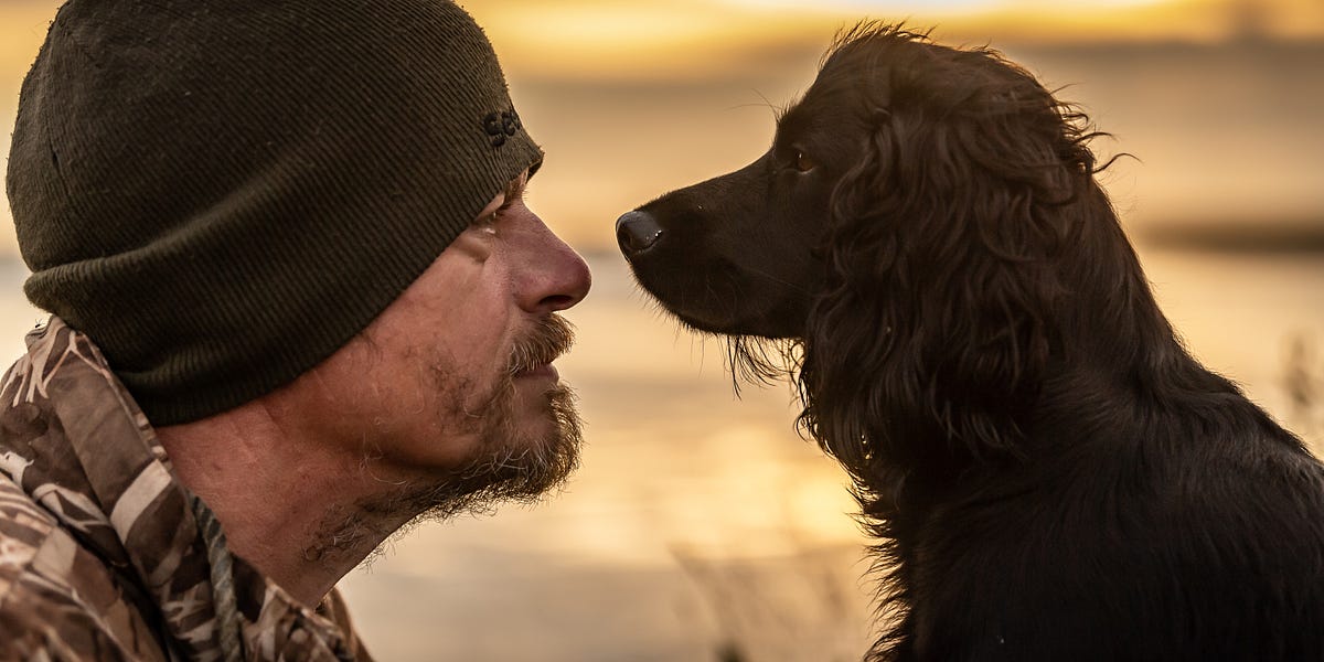 Live long little dog - by Richard Negus