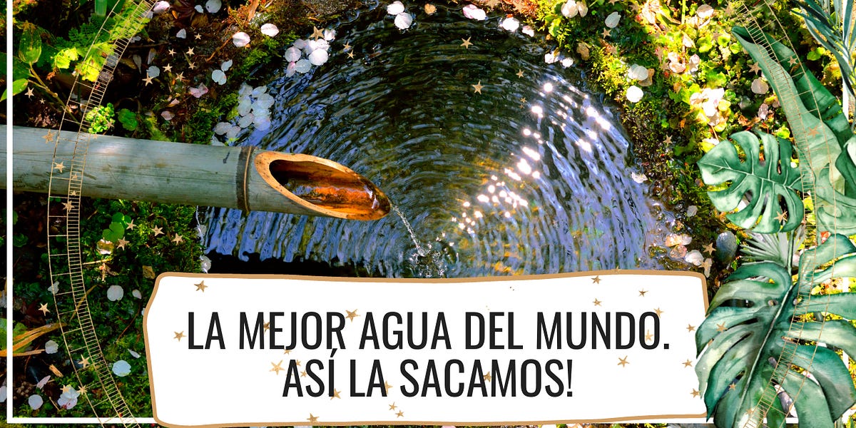 Te enseñamos el manantial secreto donde conseguimos agua ancestral para ...