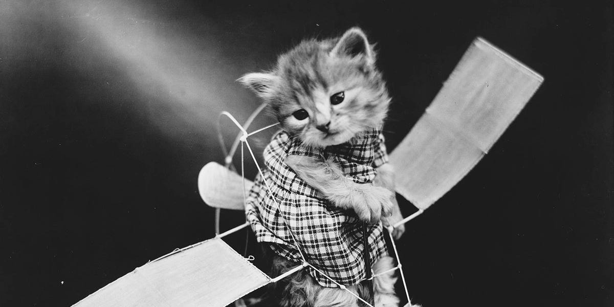 Before there were LOLCATS - by Peter Pappas