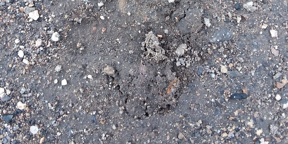 Land of the Dust - by Lydia Fern - Creekside Astrology