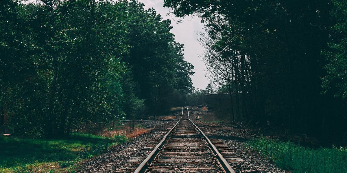 A Look Down Track B - by Scott Alexander - Astral Codex Ten