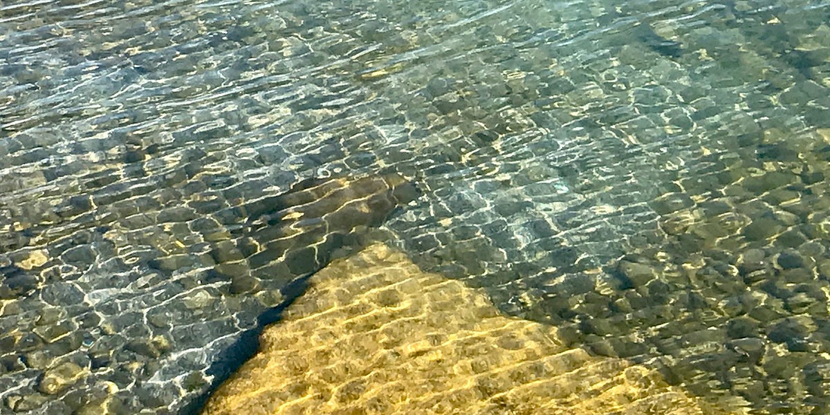 Revealing Invisible Patterns - by Kim Manley Ort