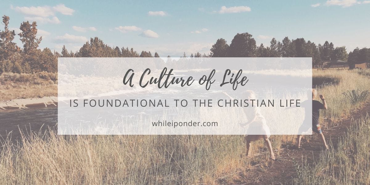 A Culture of LIFE is Foundational to the Christian Life
