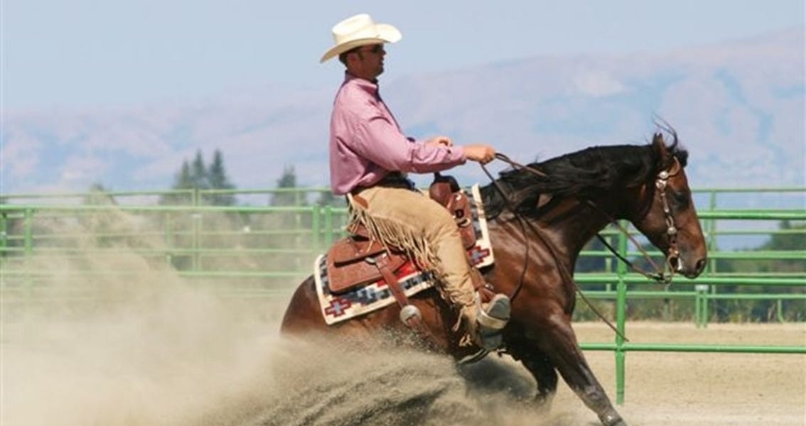 Sedated horses are NOT fit to compete - by Renate Larssen