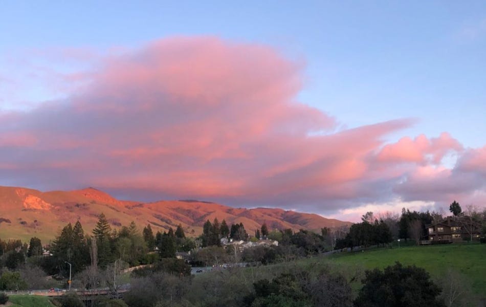 March 2021 - Mellowed Out