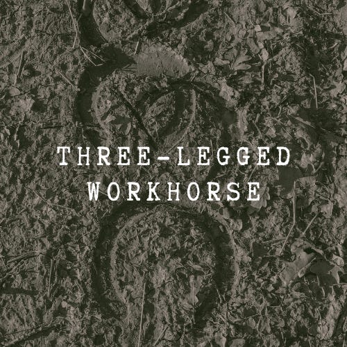THREE-LEGGED WORKHORSE - by David Pierce Jones