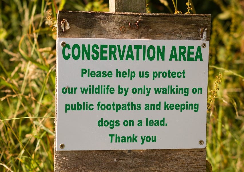 Inconvenient Wildlife - by Richard Negus