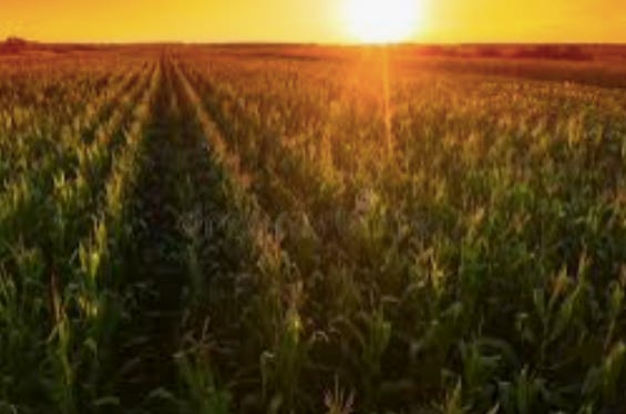 Dusk on the Gravel Roads - by Suzanna de Baca