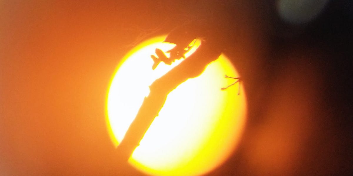 Early Pictures of the Sun - by Brandon Dougherty