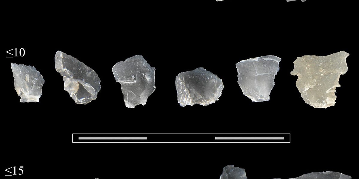 Small Flakes Reveal Evidence of Tool Use From 300,000 Years Ago