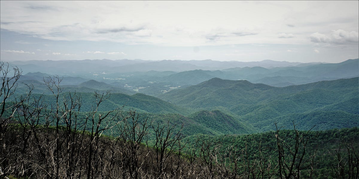 #034 Swinging Lick Gap to Cold Spring Shelter Day 18: ATMM 110.5 – ATMM ...