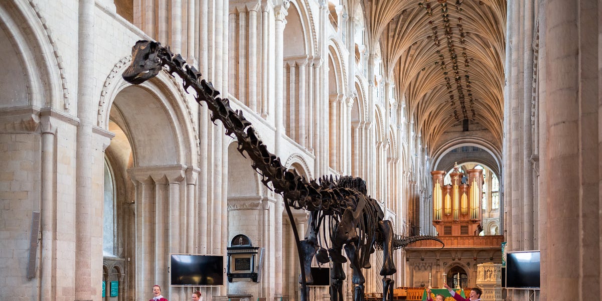 Revealed: UK's most visited museum - maxwell museums