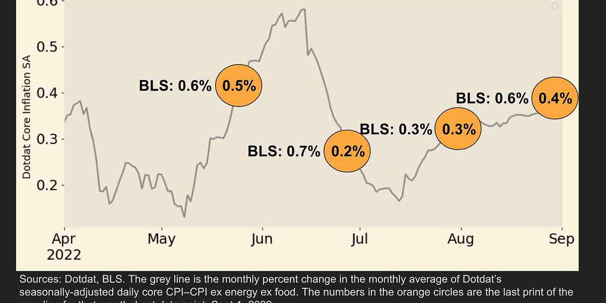 August's Release - by Rebecca Hellerstein - Dot Macro