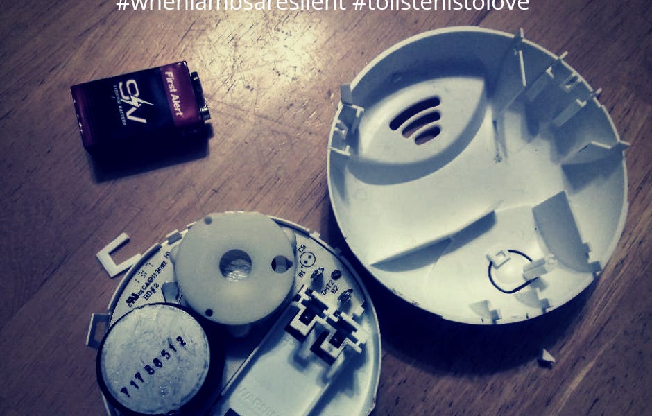 The Broken Alarm: Shame, Anxiety, and the Courage to Speak / Rebecca Ogden