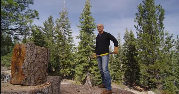 Activating the CCyB - Bank Reg Blog