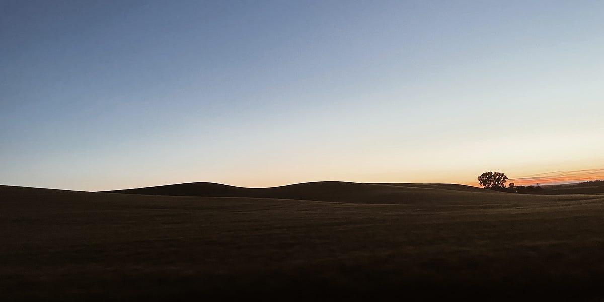 Ground Cover | September | Snowberry - David Swick