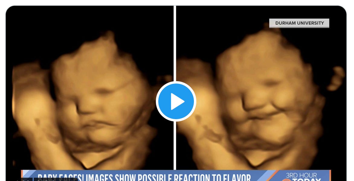 Weekly Digest: “Babies in the Womb” - by Aaron M. Renn