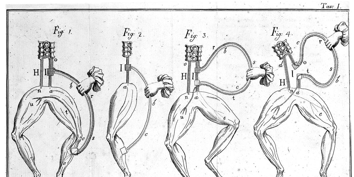 Research into Reanimation - by Abram Giller - Bionomicon