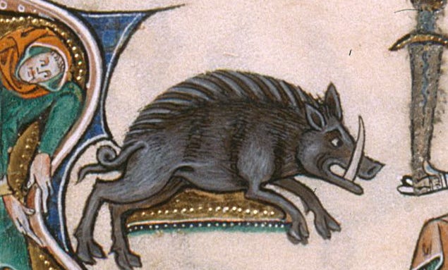 Men Aren't Hogs - by Timon Cline - Specula Principum