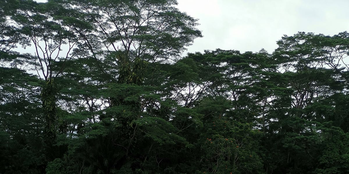 The art of not knowing - by Isaac Teo - Interiority