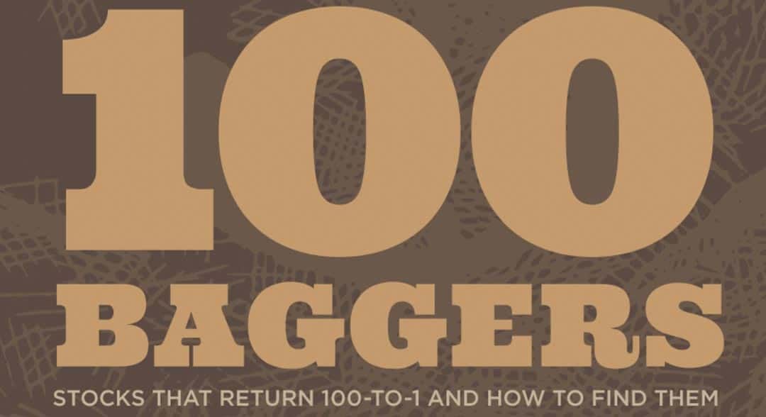 Lecciones del libro “100 BAGGERS” - by Bagger Hunt