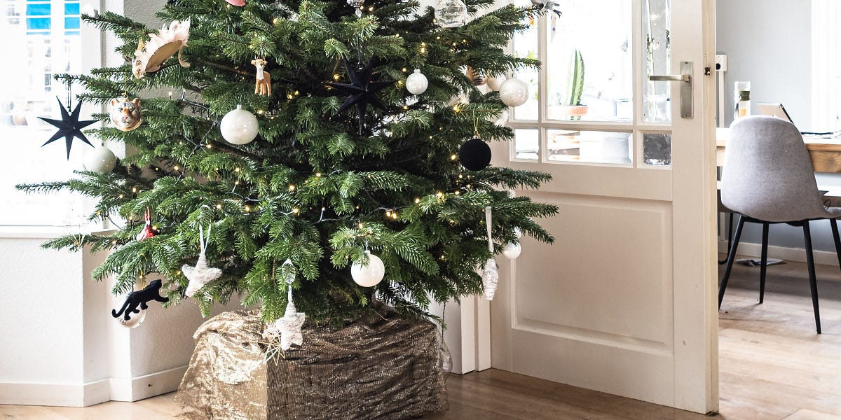 The Christmas tree bill - by Joshua Rozenberg