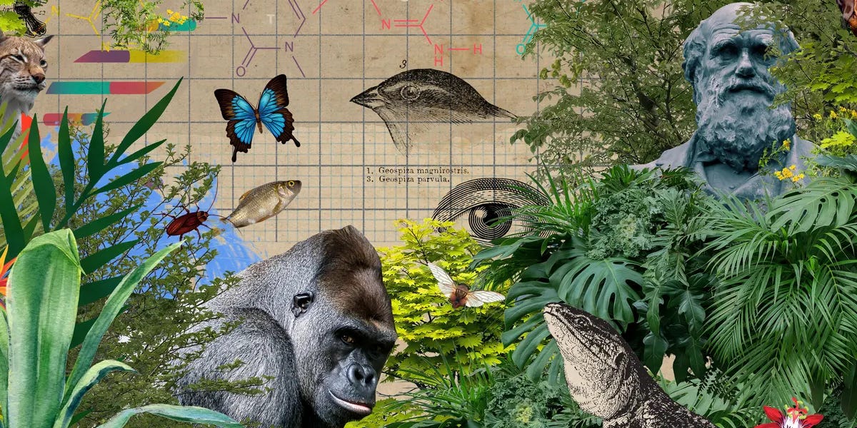 Evolutionary Biology vs the Progressive Future