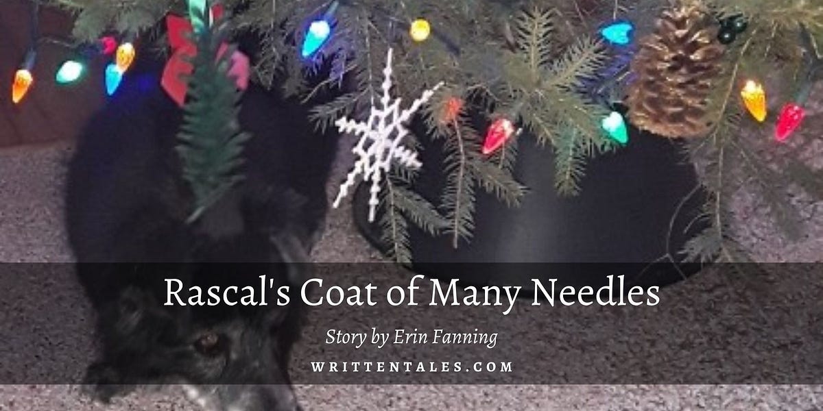 Rascal's Coat of Many Needles - Written Tales Magazine