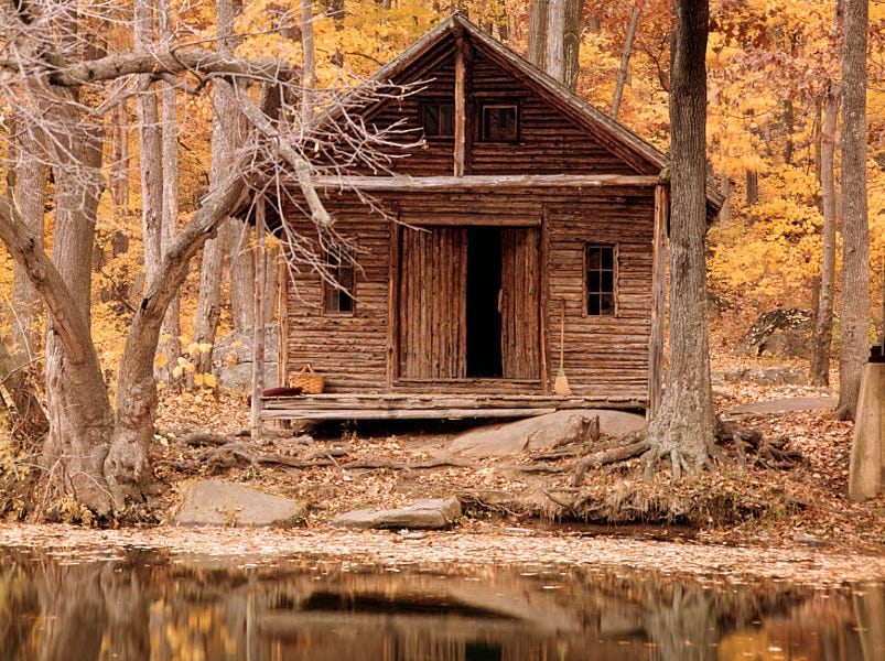 One of these markets is lying - by Dan Denning