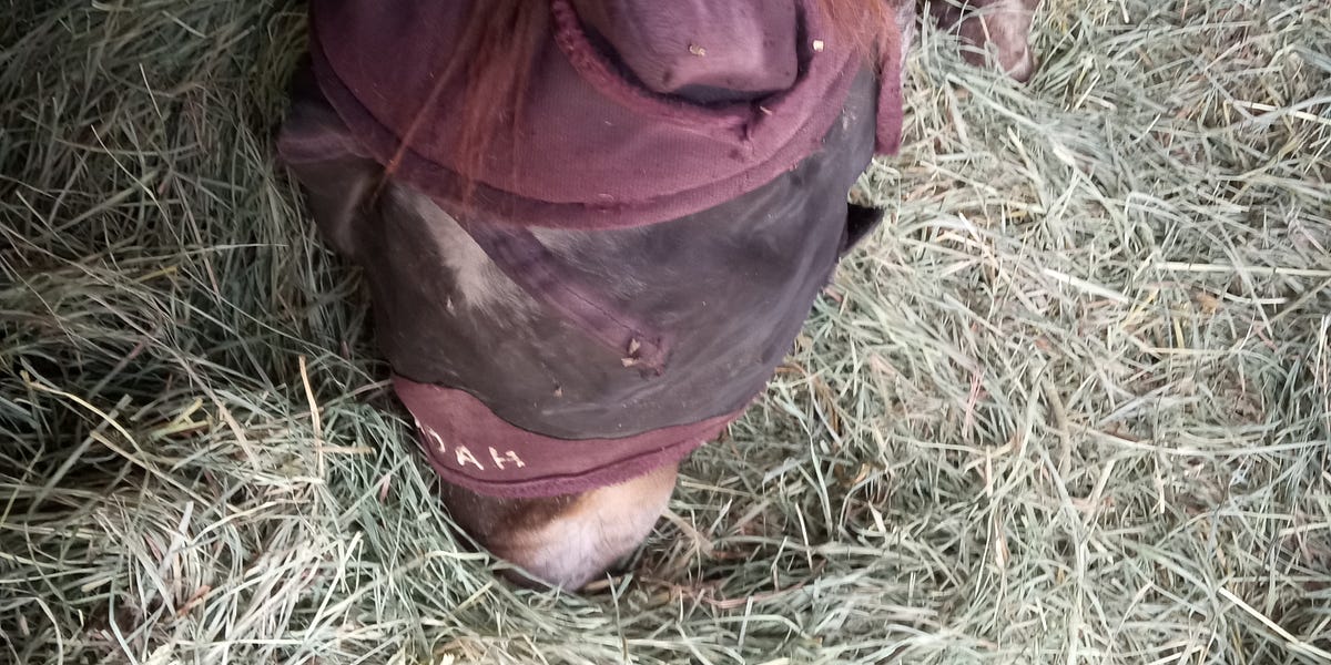 Mia Rides! - Mia Rides!!