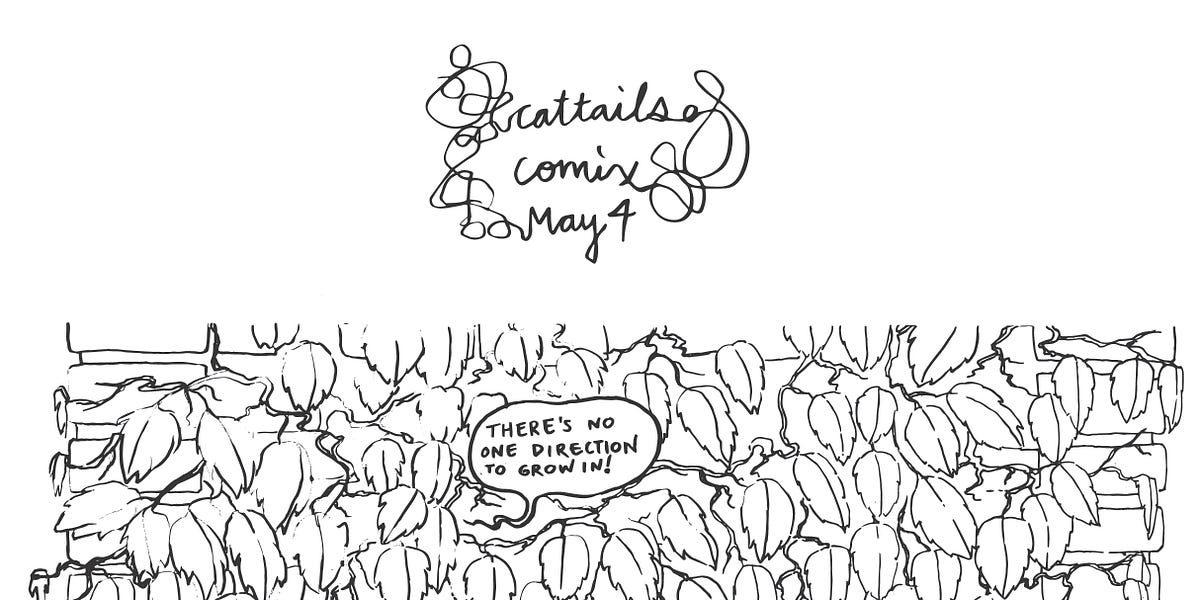 messy mess of complicated mess - Cattails Comix