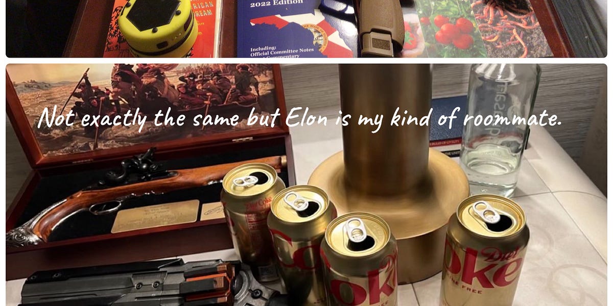 Elon, My Twin - by Robert DuChemin Sr - RADlaw Newsletter