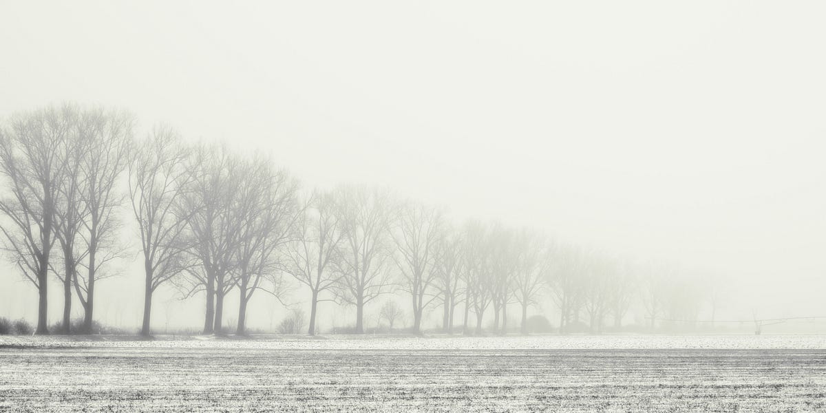 Värdegrund – Den Moderna Jantelagen - by Allan Motström